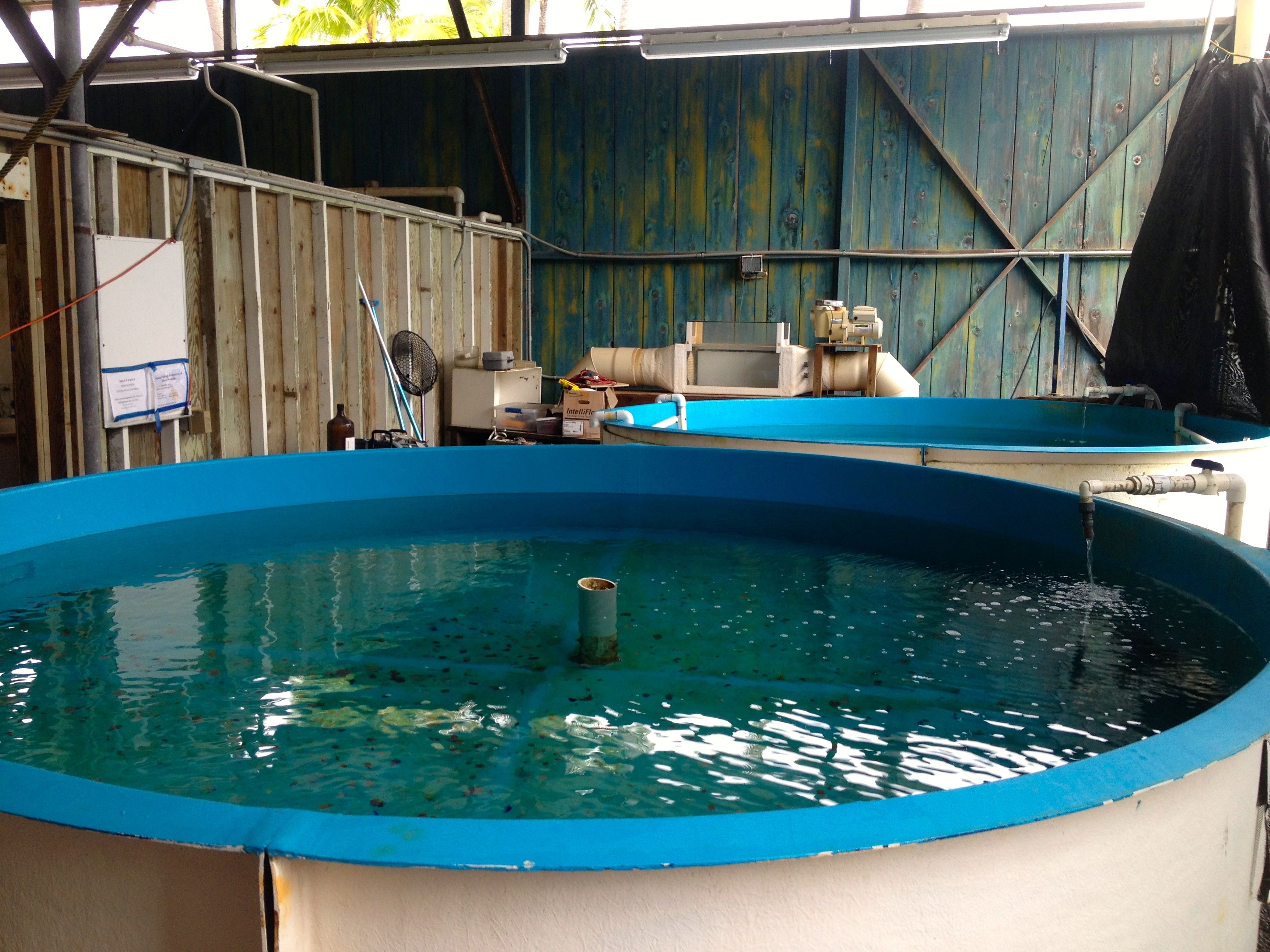 Facilities | Shark Research Lab